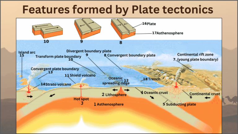 How did the theory of plate tectonics evolve over time?